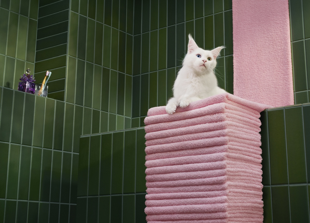 LUNDLUND : NIKLAS HANSEN